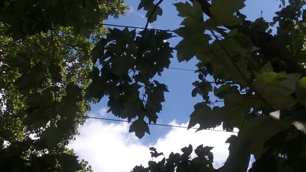 Relentless- A Poem - LetterPile