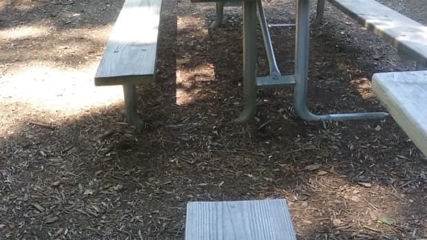 Relentless- A Poem - LetterPile