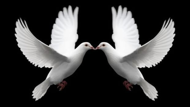 How She Fought Back #6 - LetterPile