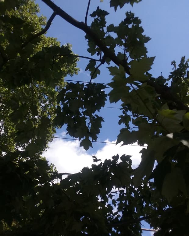 Relentless- A Poem - LetterPile