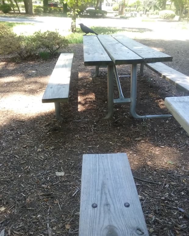 Relentless- A Poem - LetterPile