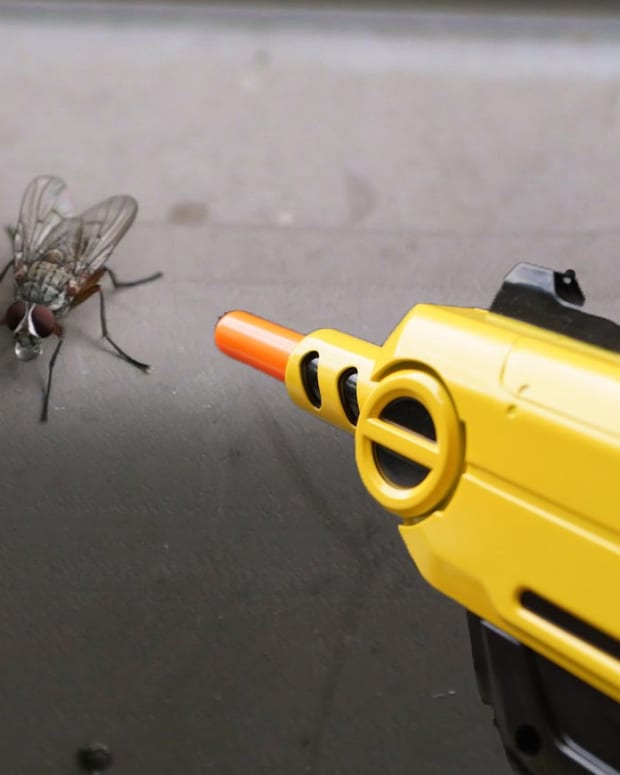 Poem: Let Me Fly - LetterPile