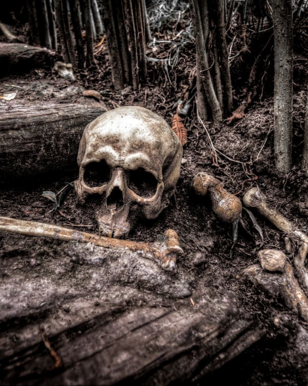 Best Haiku Poems - LetterPile