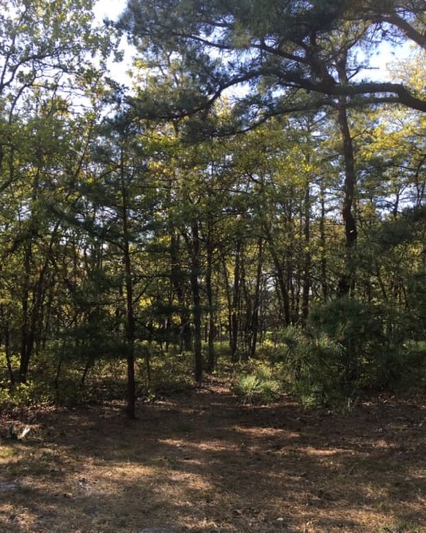 My Flash Fiction Stories: 300 Words Max. - LetterPile