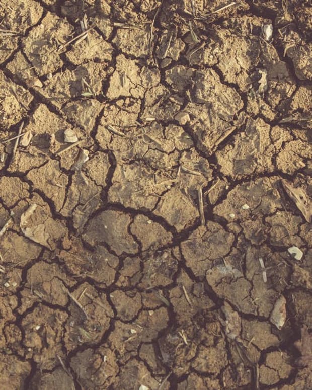 The Mountain Hike Into The Unknown - LetterPile