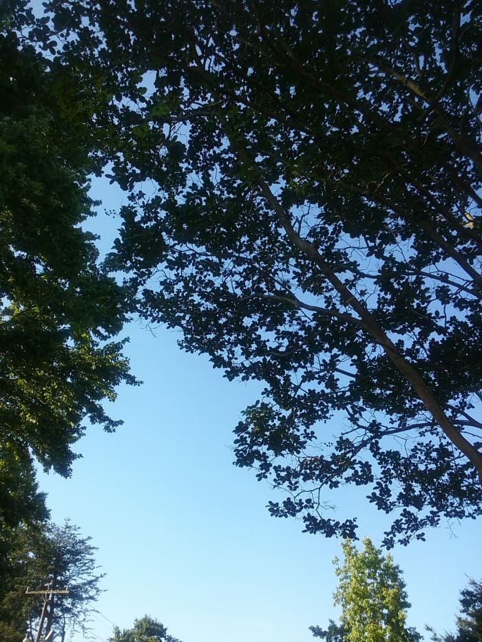 Relentless- A Poem - LetterPile