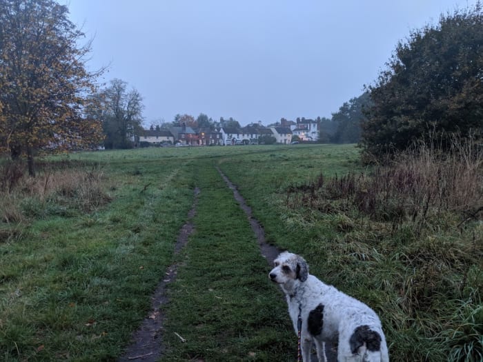 Mary and Max - LetterPile