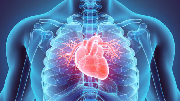 The Cardiac Poem - LetterPile