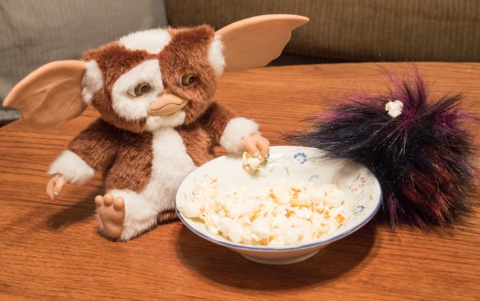 A Complete Guide to Raising a Tribble - LetterPile