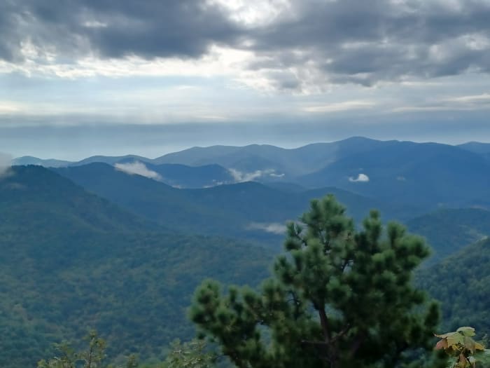 Thankful to be a Witness at Work - LetterPile