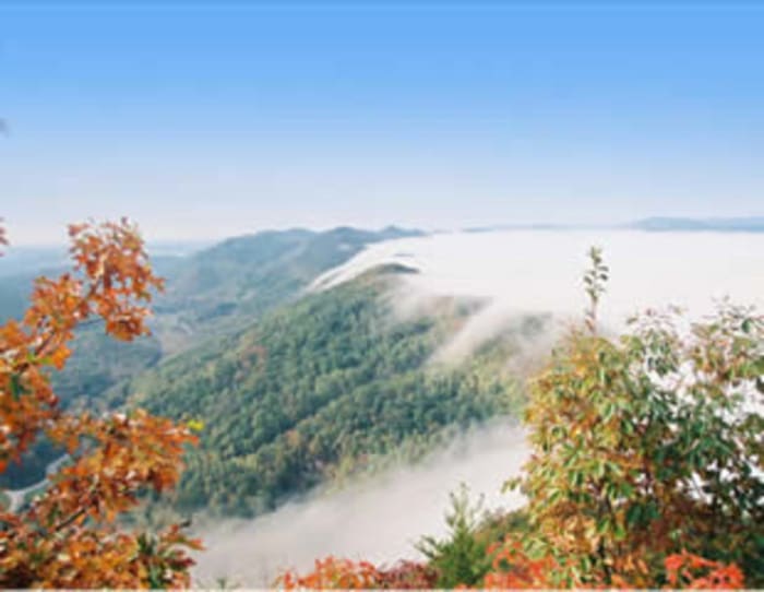 Descriptive Essay Example: My Hometown Is Still in My Heart - LetterPile