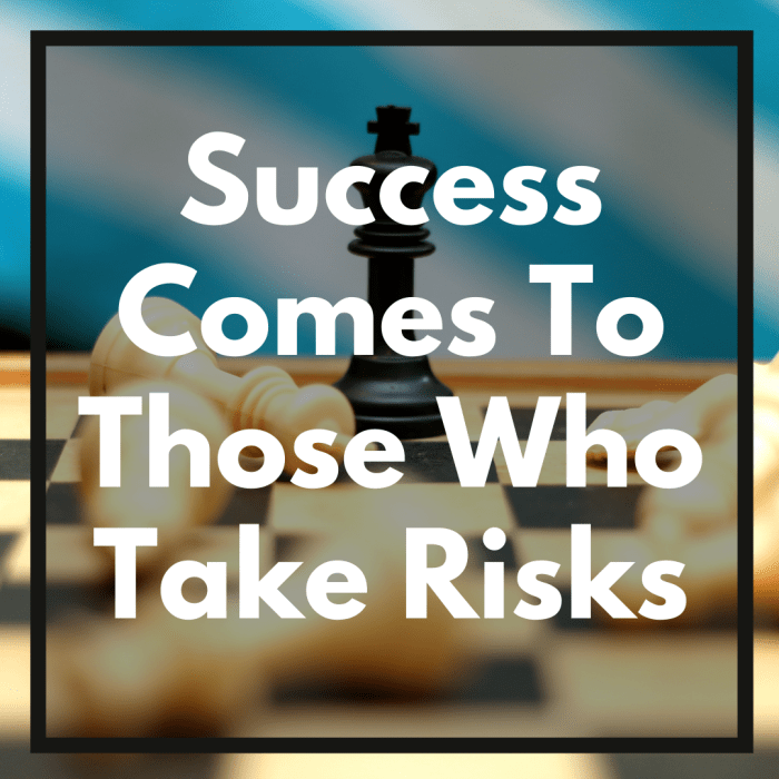 Essay on Success Comes To Those Who Take Risks - LetterPile