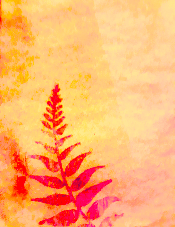 The Fuller Circle - LetterPile