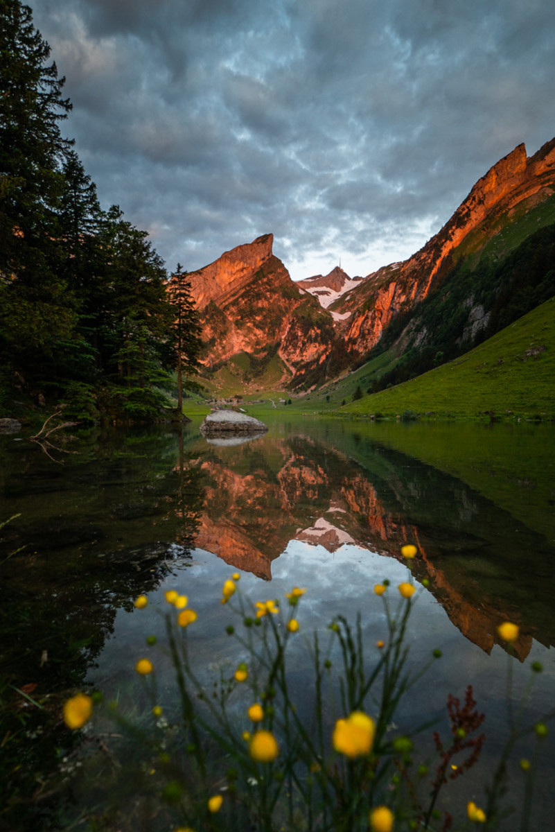 Poems for Reconnecting With Nature - LetterPile