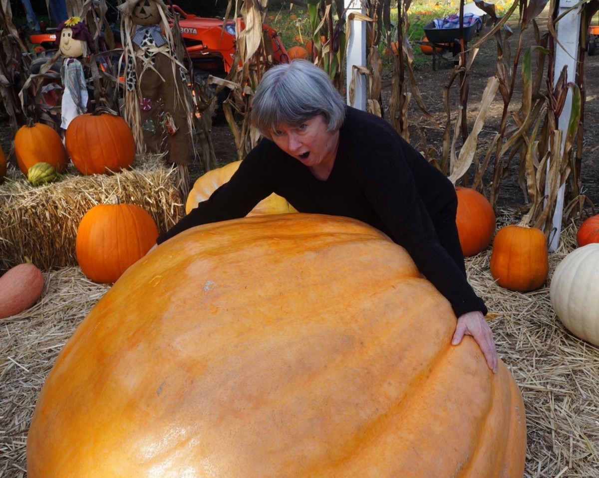 Best Dressed: Comedy Flash Fiction - LetterPile