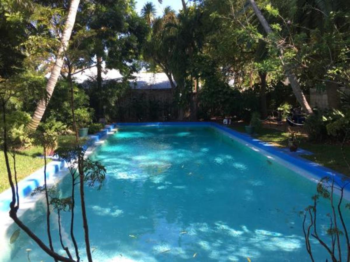 The Serenity of Beauty. A Soulful Offering to Li-Jen Hew. Saturday's ...