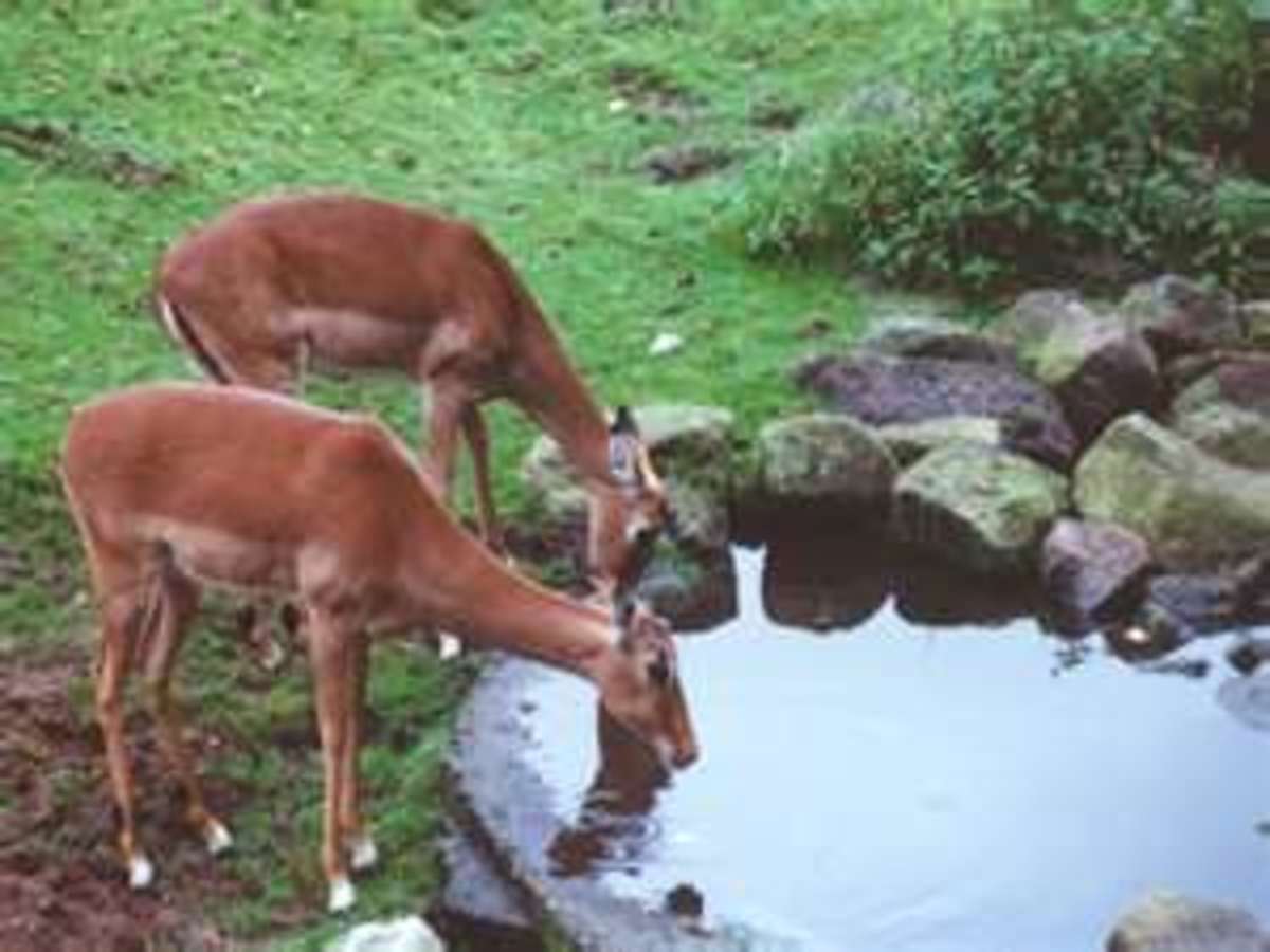 April Haiku #1238 - LetterPile