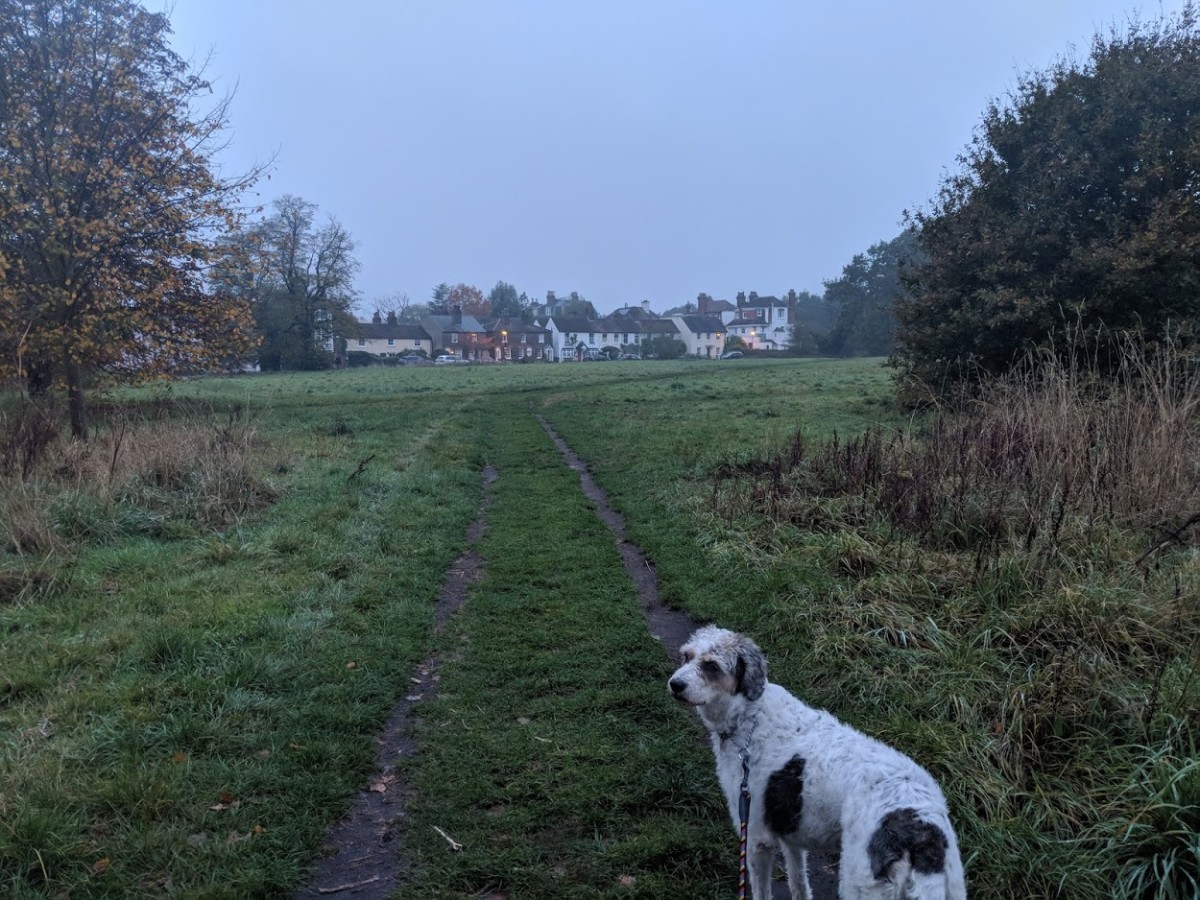 Mary and Max - LetterPile