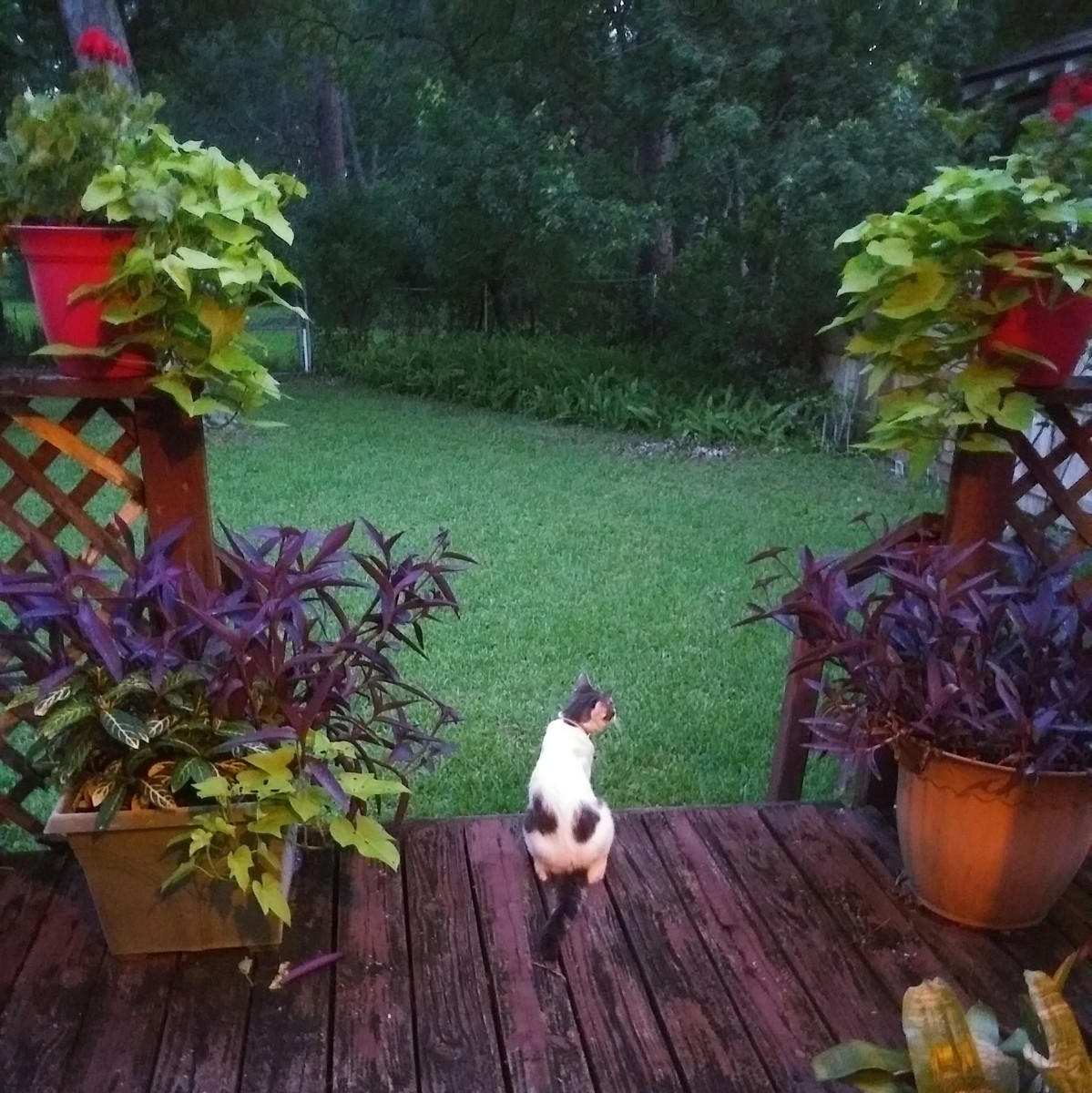 Time to Think over Morning Coffee - LetterPile