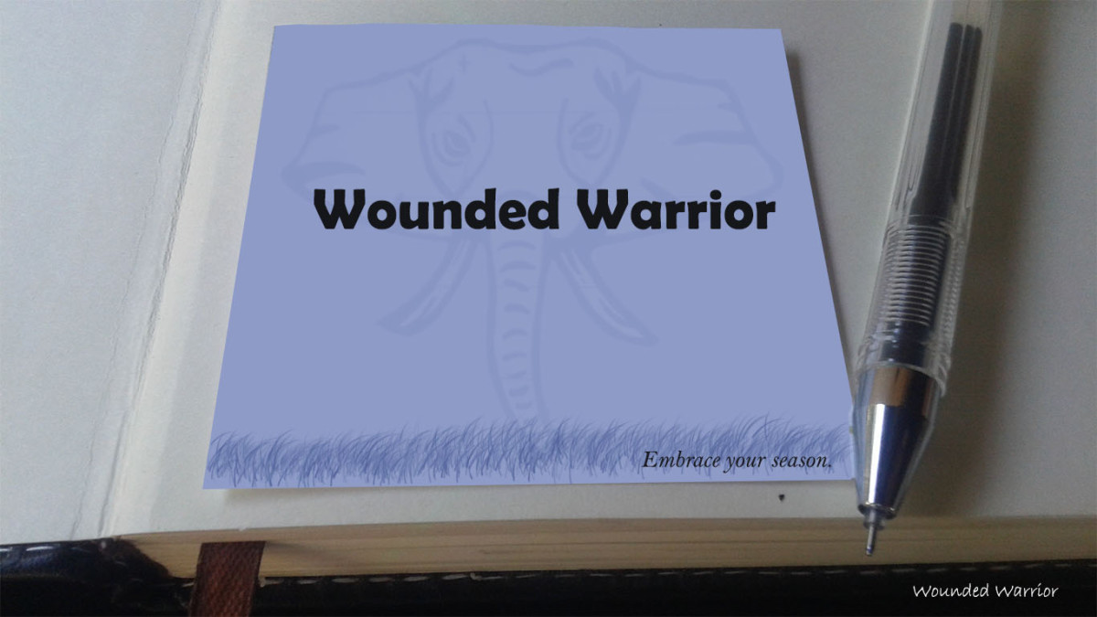 A Wounded Warrior: My CPA Testimony - LetterPile