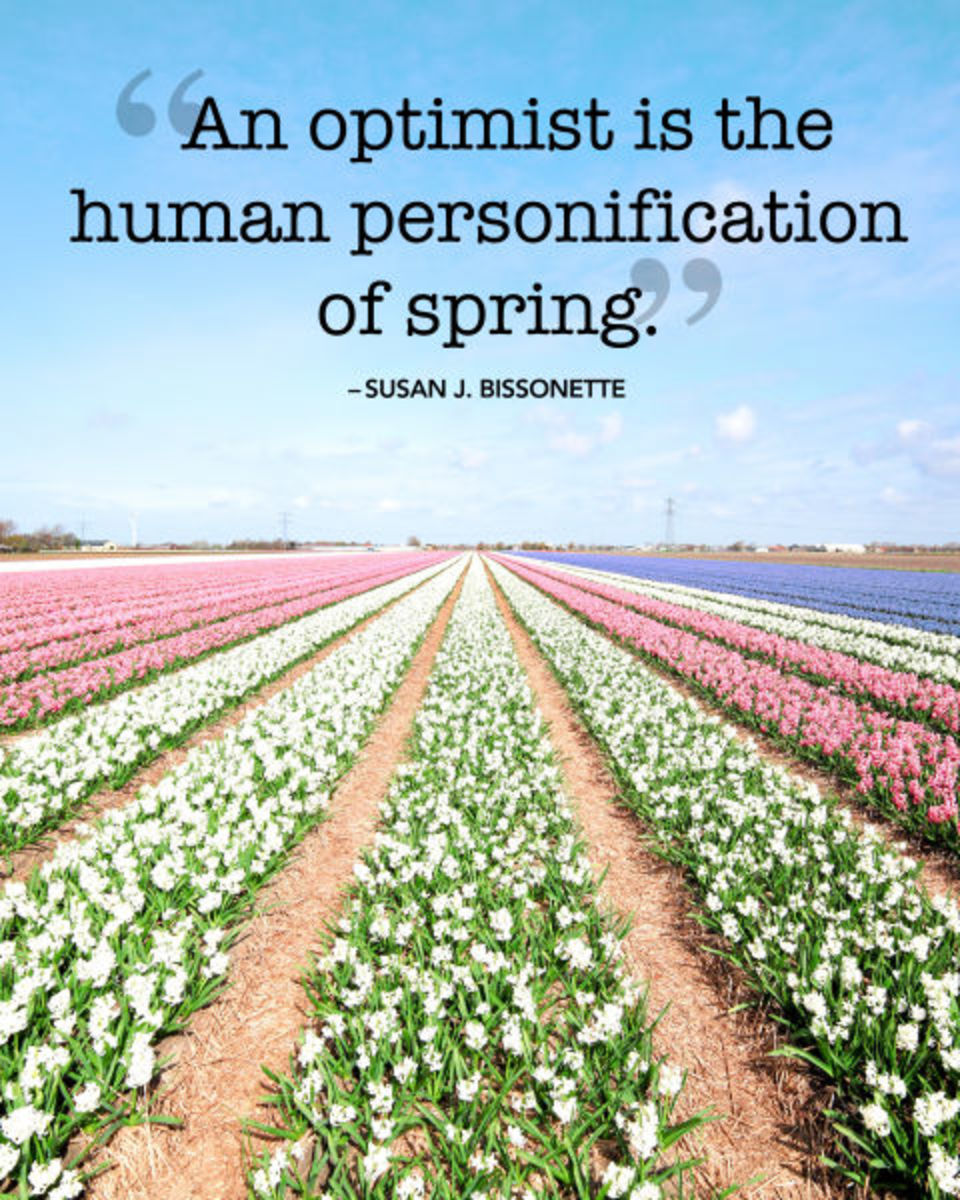 Reflections for Today. Friday's Inspiration 4, a Soulful Offering to ...