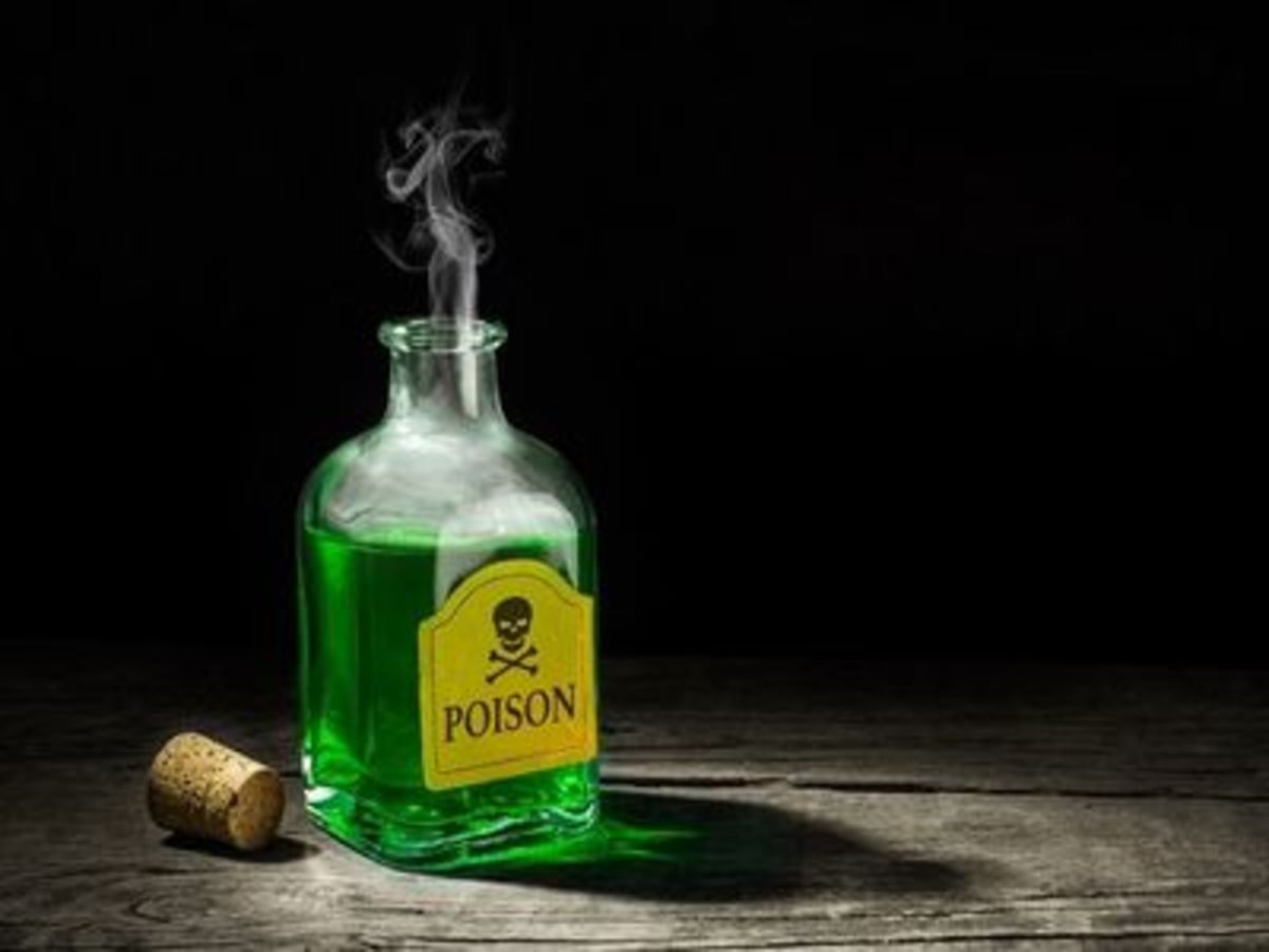 Drop of Poison: A Poem - LetterPile