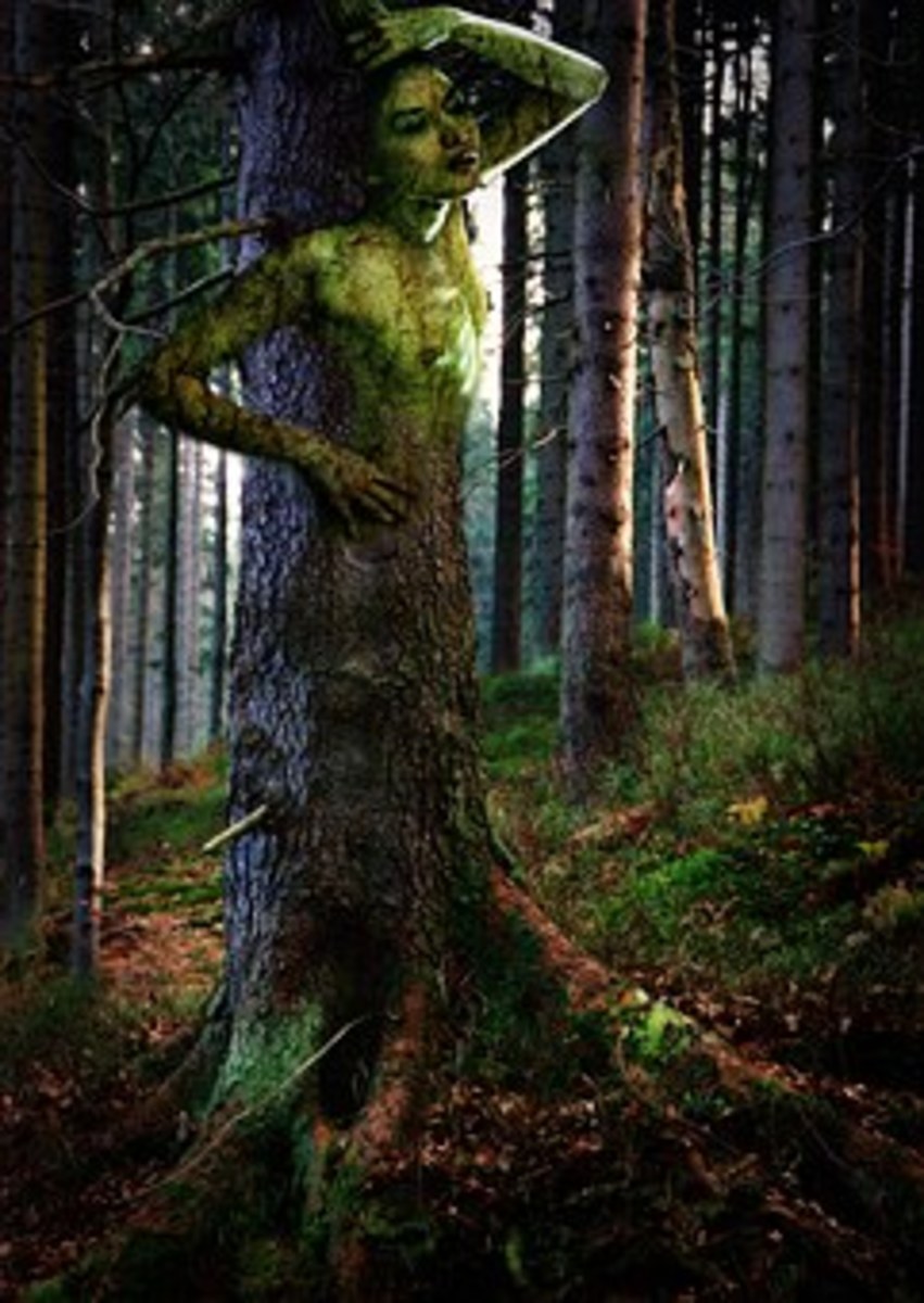 Good Wood - A Tale of Magic Realism - LetterPile