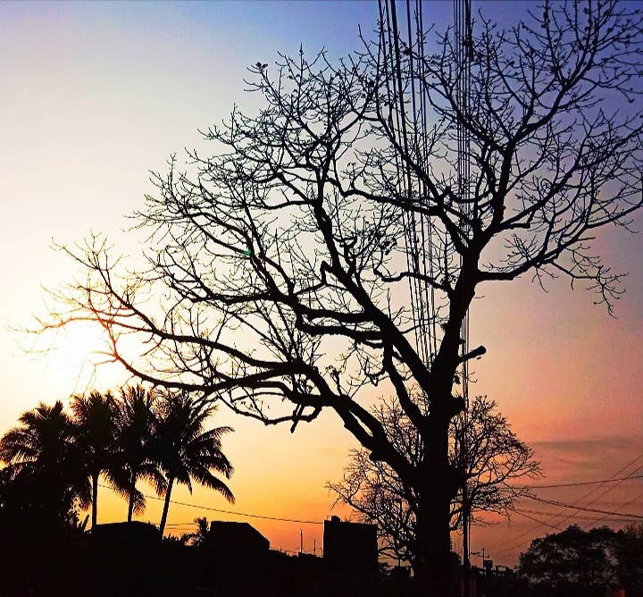 A COLLECTION OF SHORT POEMS AND POETRY - LetterPile