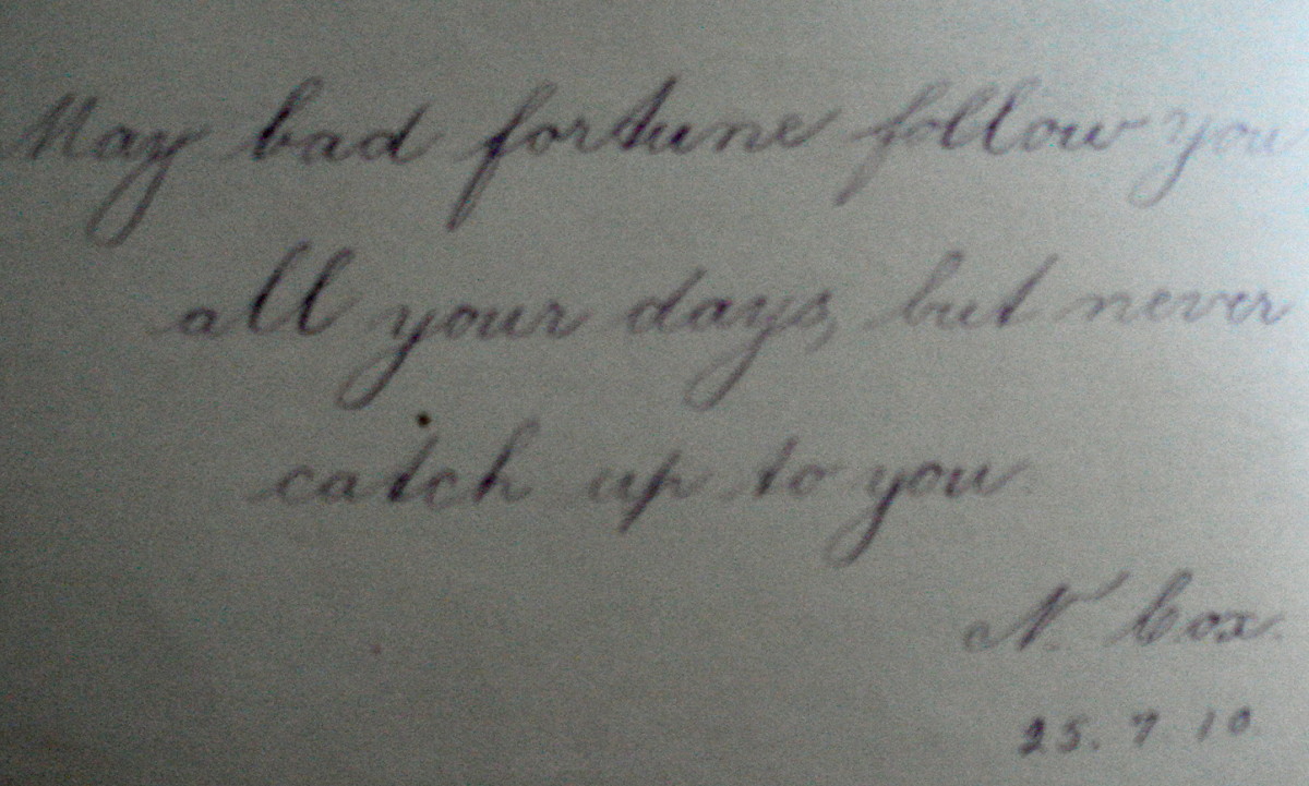 Wise Sayings: An Old Autograph Album - LetterPile