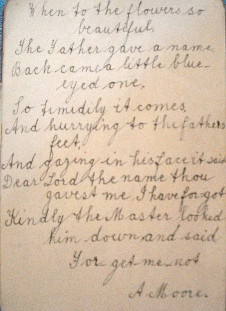 Wise Sayings: An Old Autograph Album - LetterPile