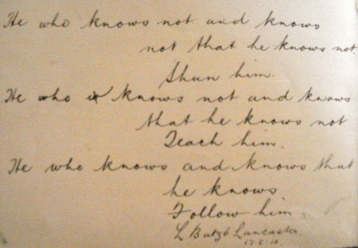 Wise Sayings: An Old Autograph Album - LetterPile