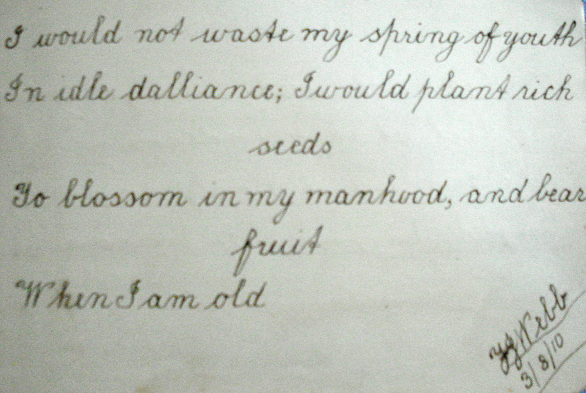 Wise Sayings: An Old Autograph Album - LetterPile