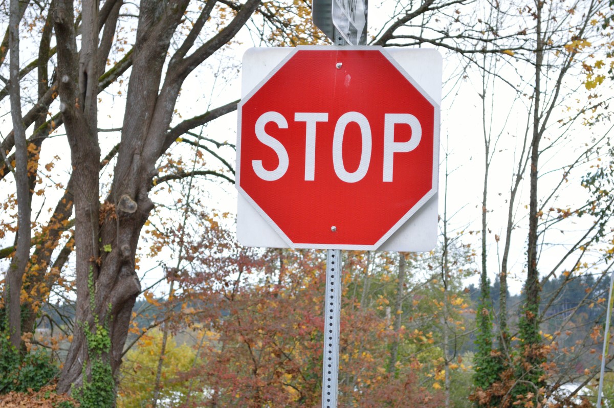 The Sun Never Rises: Chapter One - LetterPile