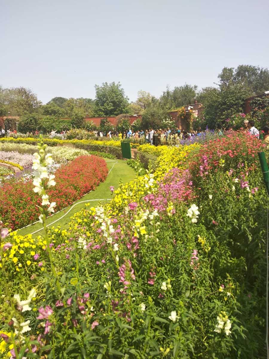 Spring has Come - LetterPile