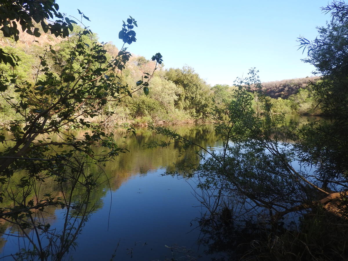 Under the spell of Groot Marico and Herman Charles Bosman - LetterPile