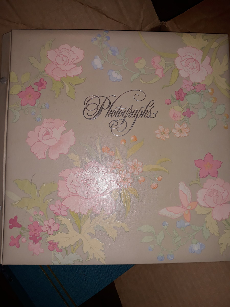 The One-Armed Lady - LetterPile