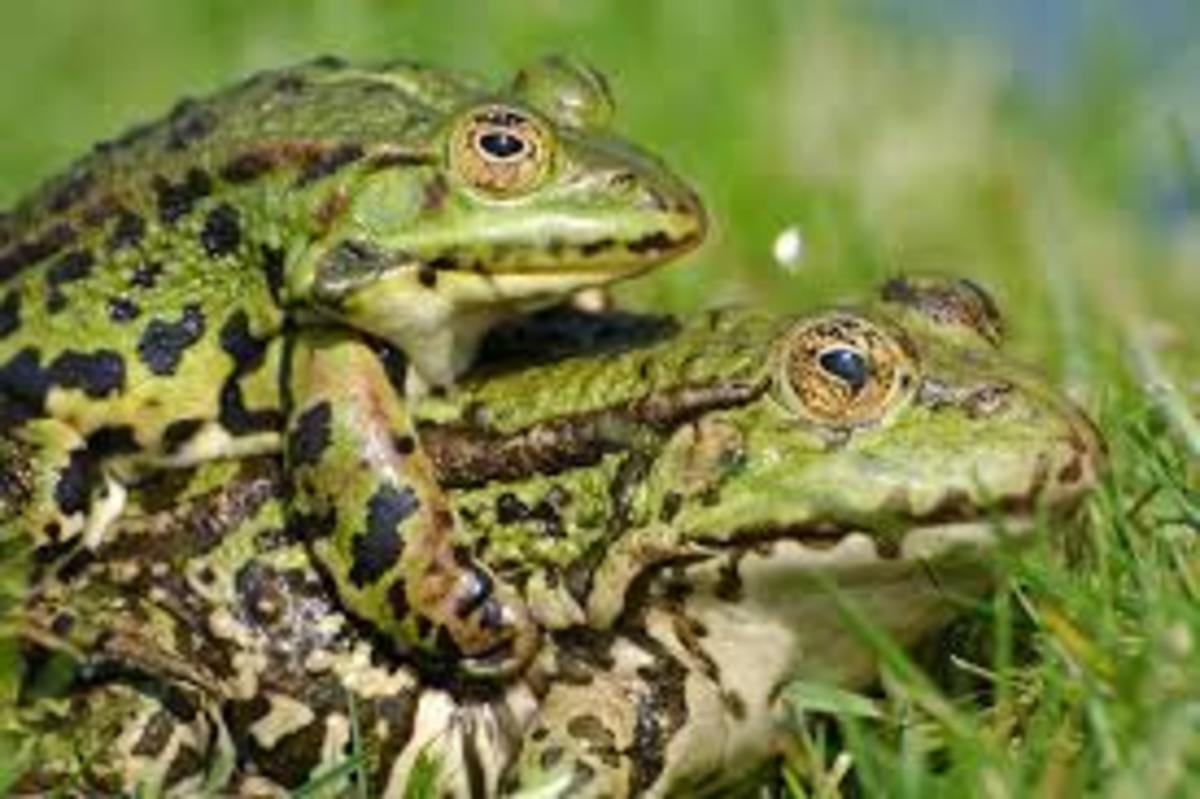 After Noon Delight - LetterPile