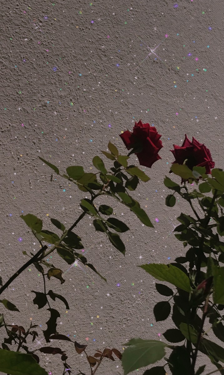 Short Random Poems - LetterPile