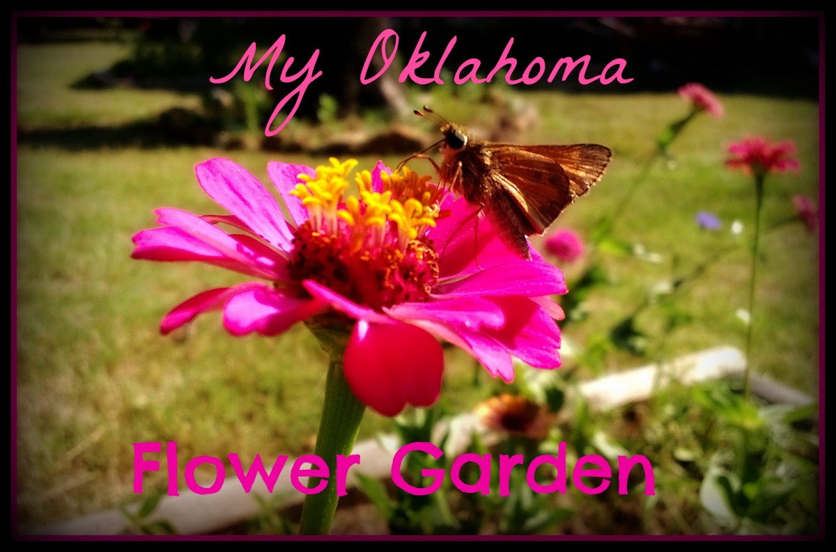 My Oklahoma Flower Garden - LetterPile