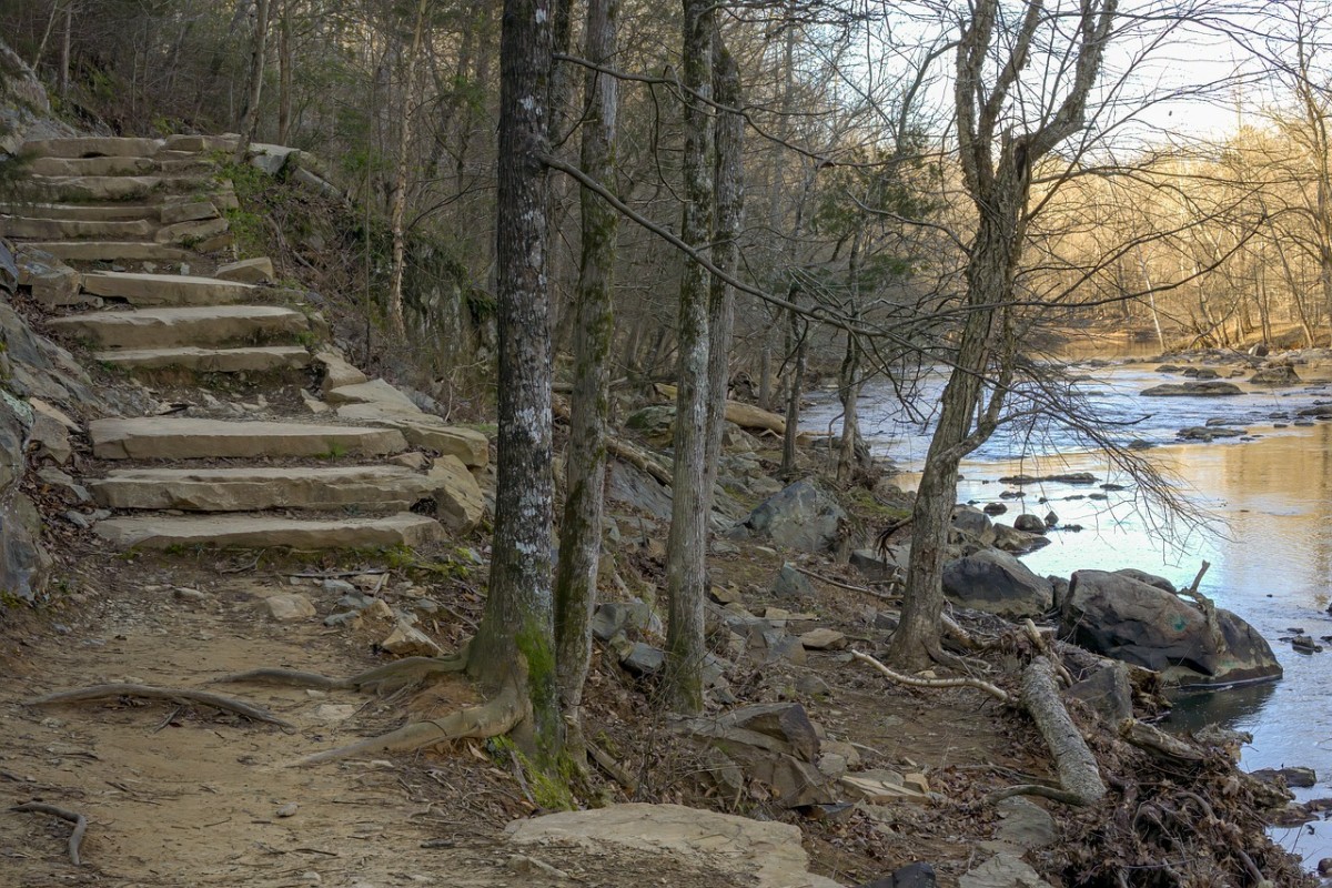 When We Wake Tomorrow, What Will We See? - LetterPile