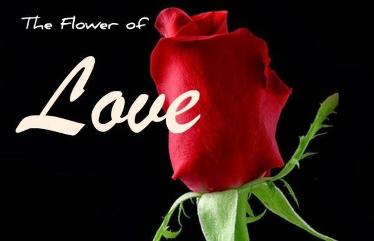 United in This Love. A Dedication to a Friend. Saturdays Inspiration 32 ...