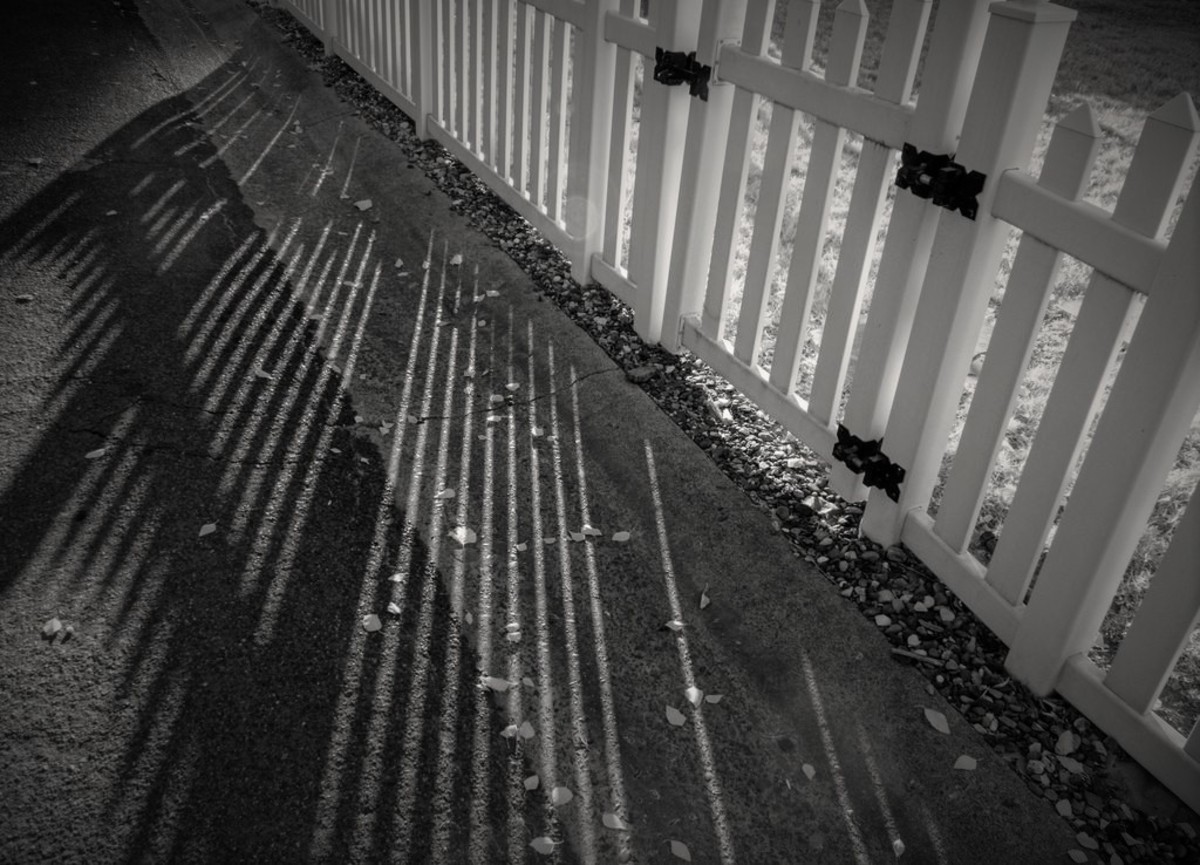 My Prose of Explanation, and Poem of Disillusion. This Is My Journey ...