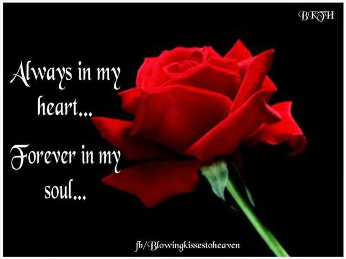 Letter: Thursday's Inspiration 23, to the Esteemed Writer Devika Primić ...