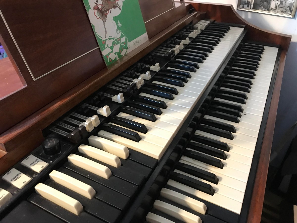 The Organ - LetterPile