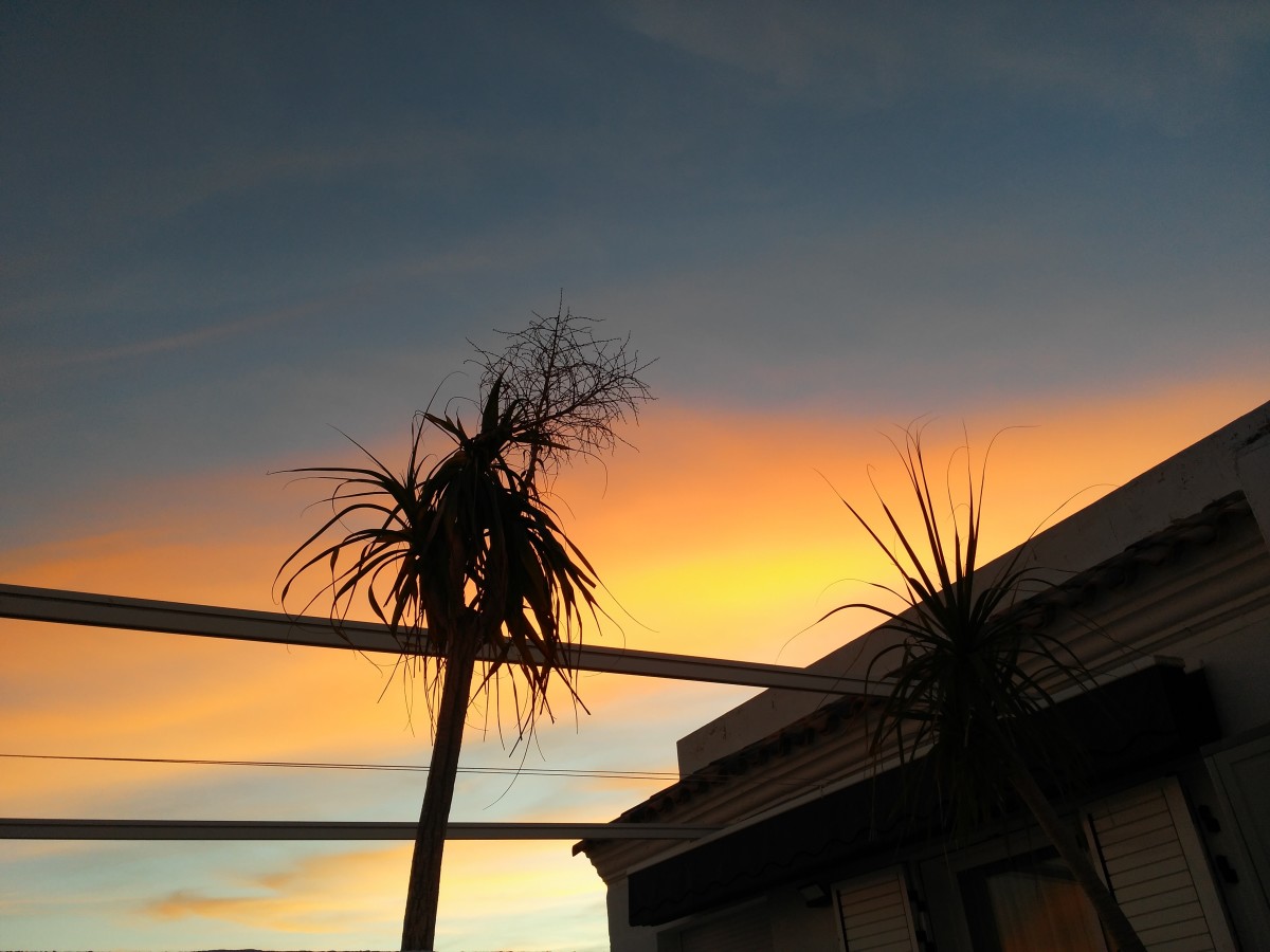 A Winter's Night Walk Through Moncofa - LetterPile