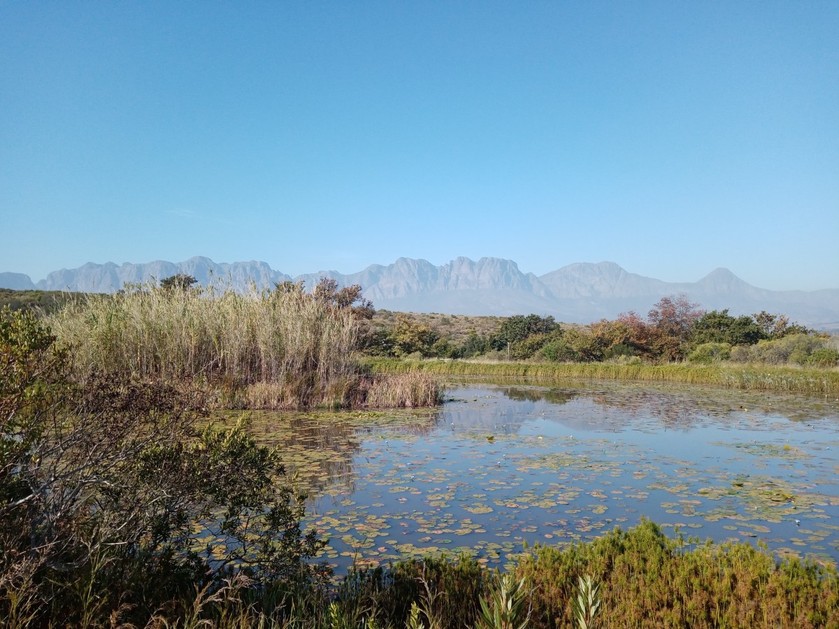 Get Up and Move Forward - LetterPile