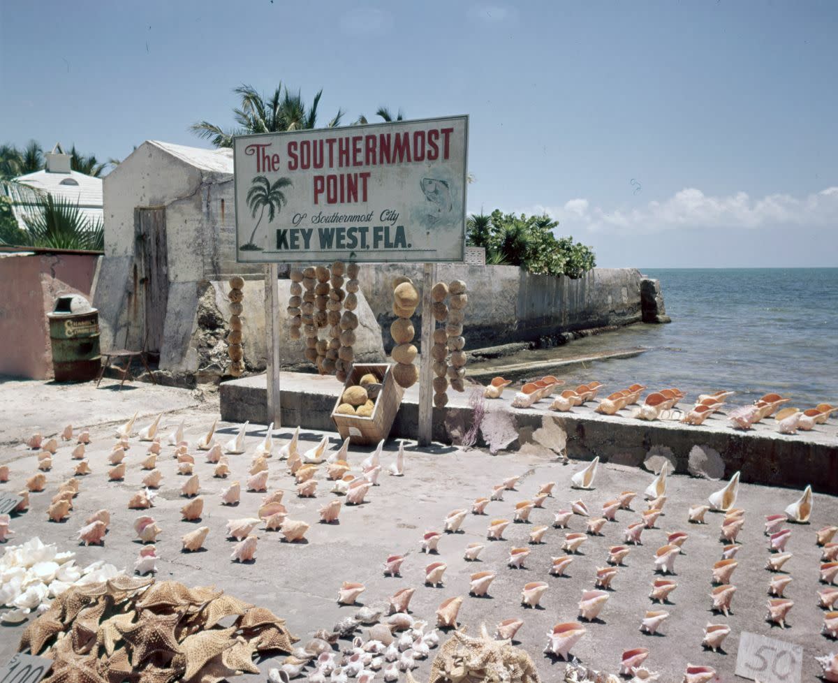 The House on Pine Street - LetterPile