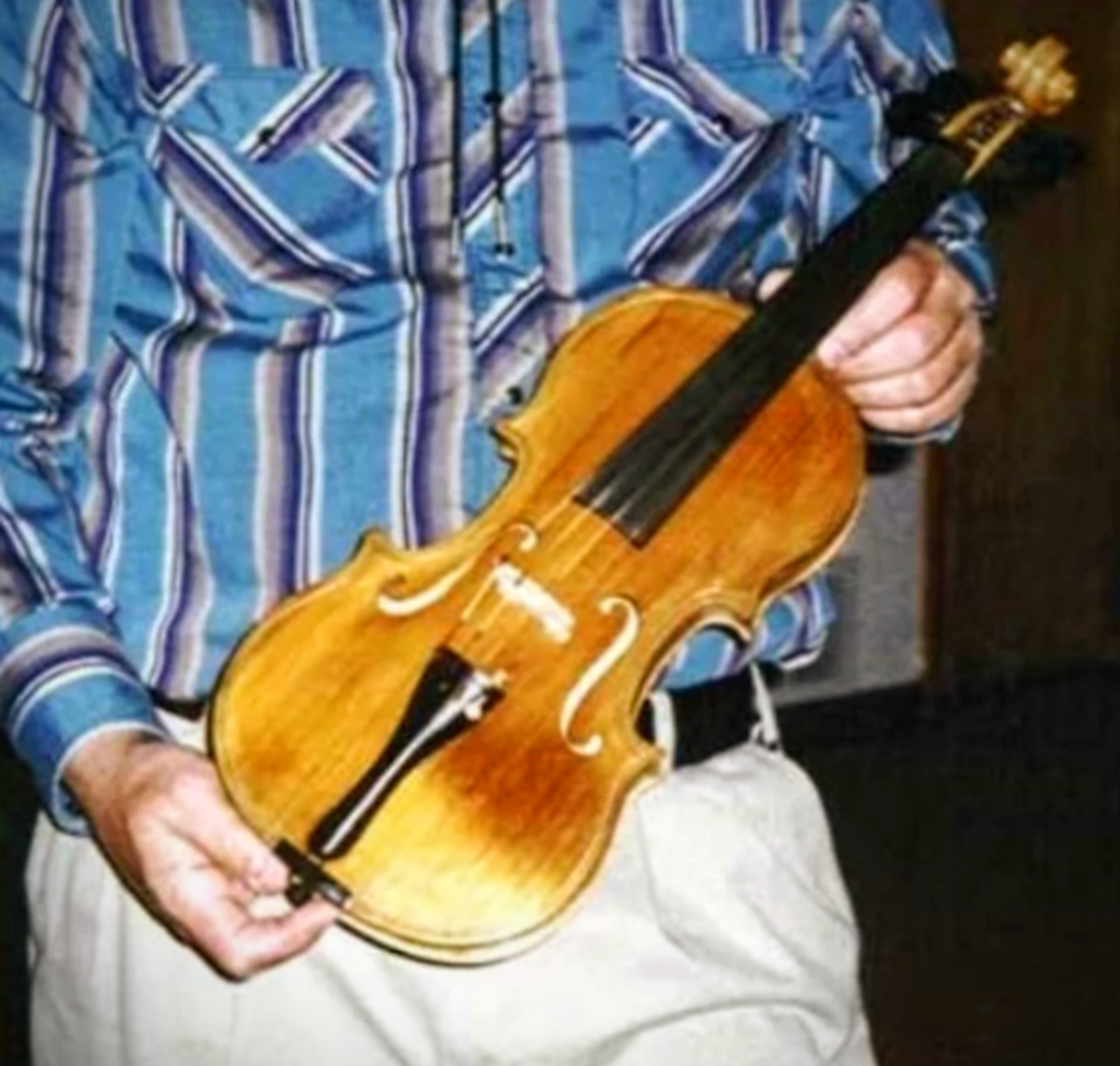 My Golden Fiddle: Story of a Homemade Violin - LetterPile