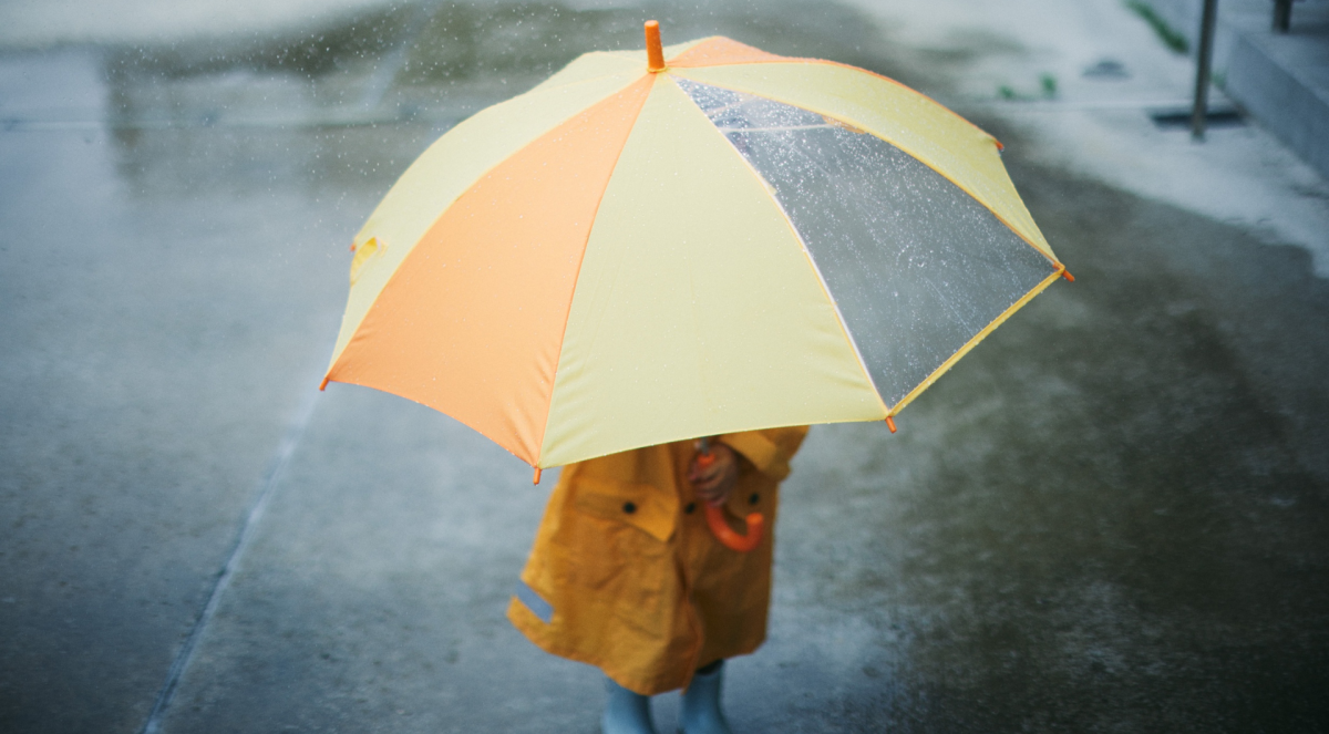 The Story of Rain - From Puddle to Cloud - LetterPile