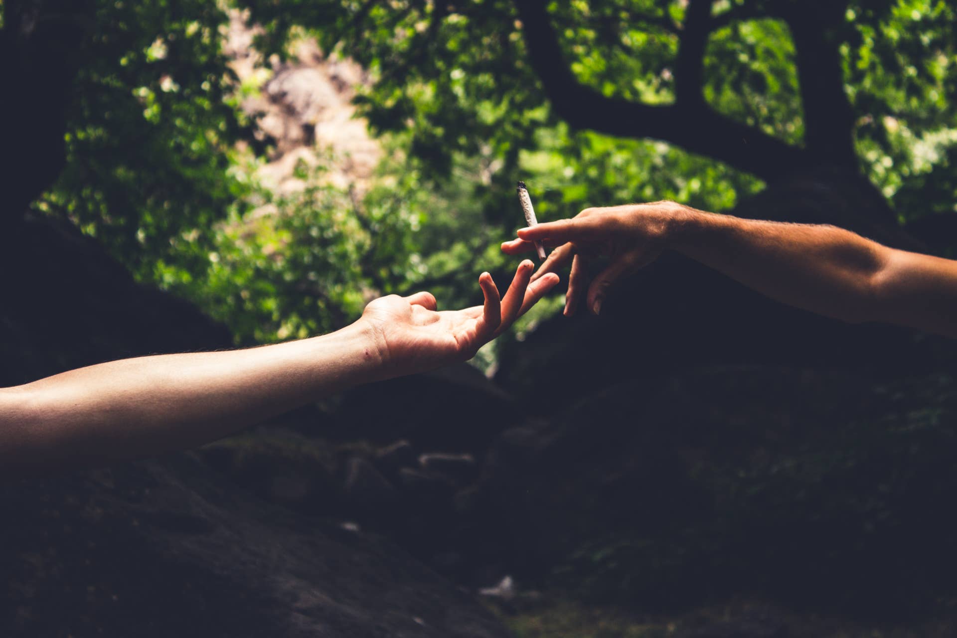 Touch: A Poem - LetterPile
